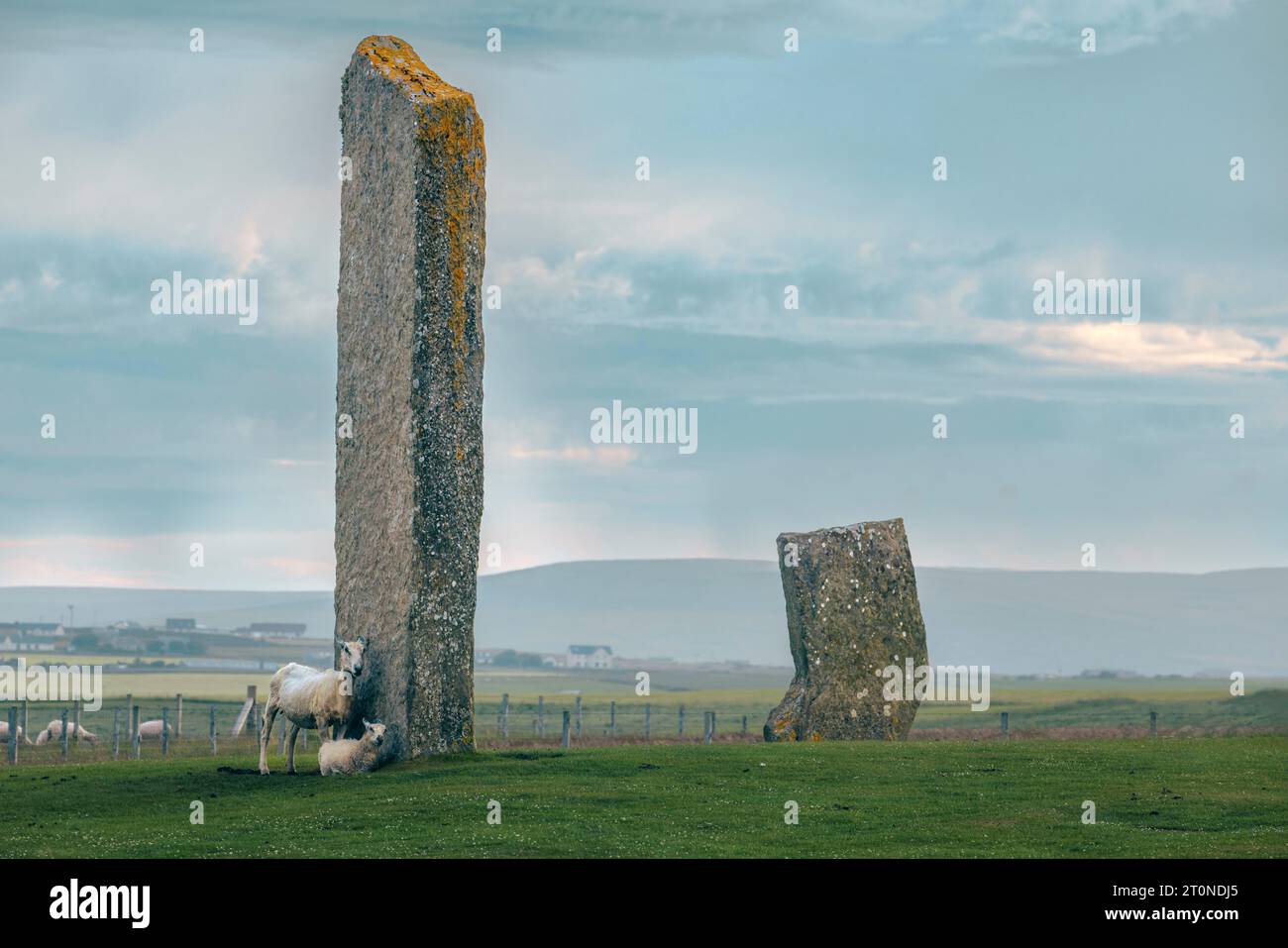 The stones of stenness hi-res stock photography and images - Alamy