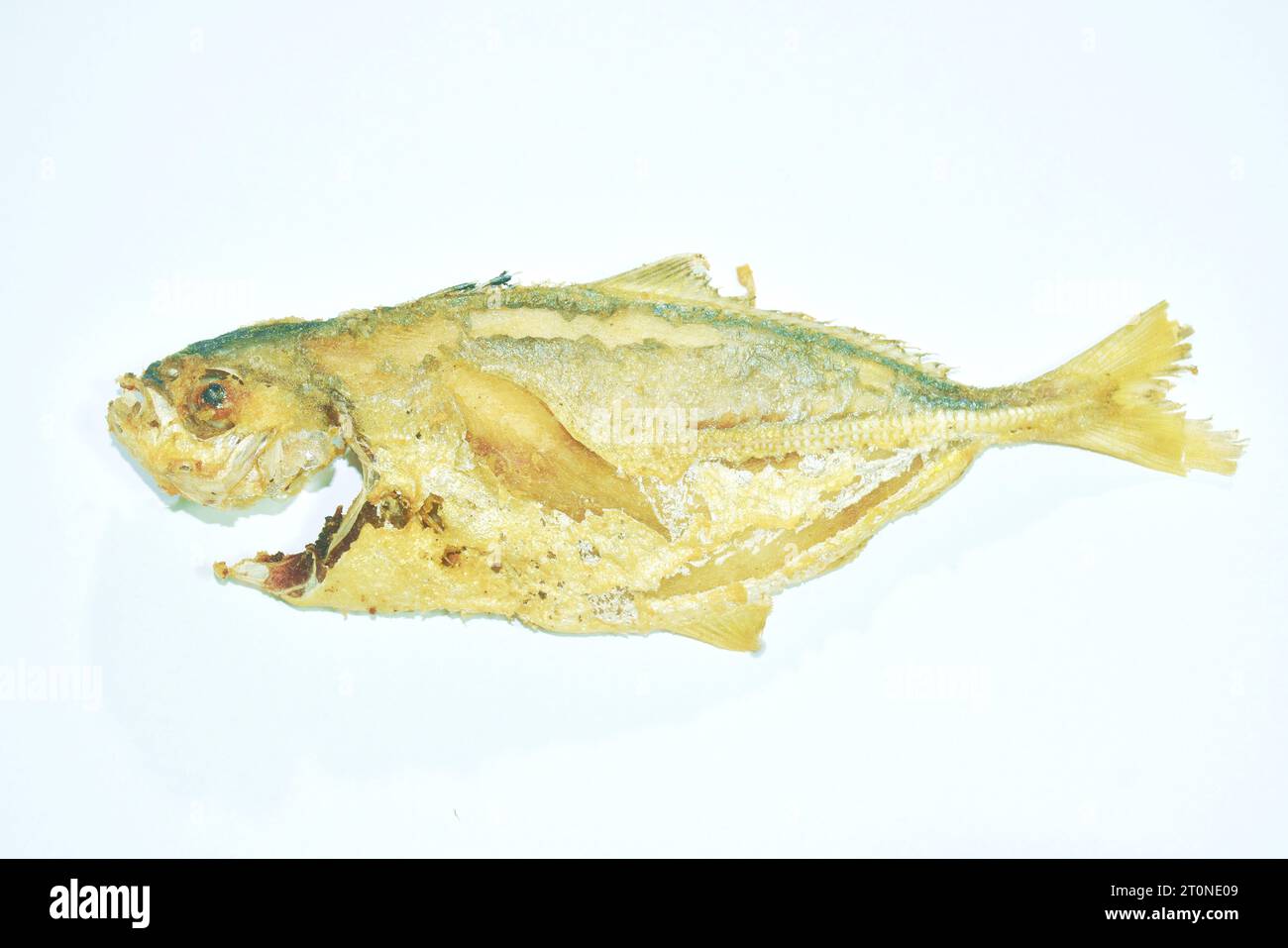 deep fried giant kingfish arranging on white background Stock Photo - Alamy