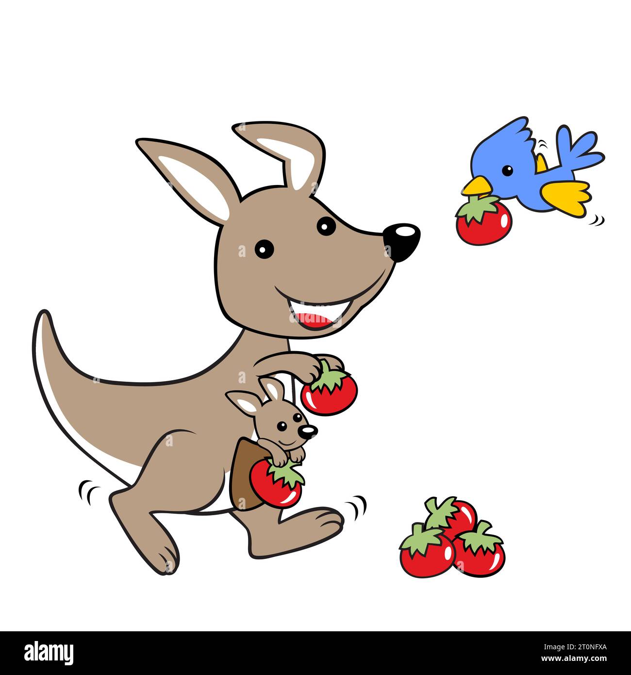 Kangaroo apple fruit Stock Vector Images - Alamy