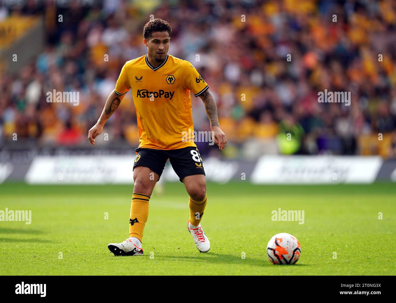 Joao gomes football hi-res stock photography and images - Alamy