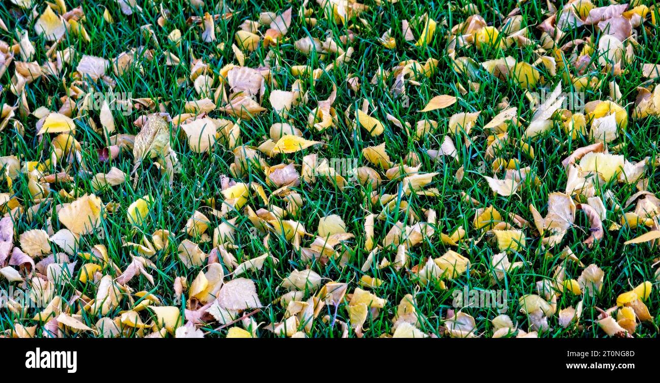 Environment alberta hi-res stock photography and images - Alamy