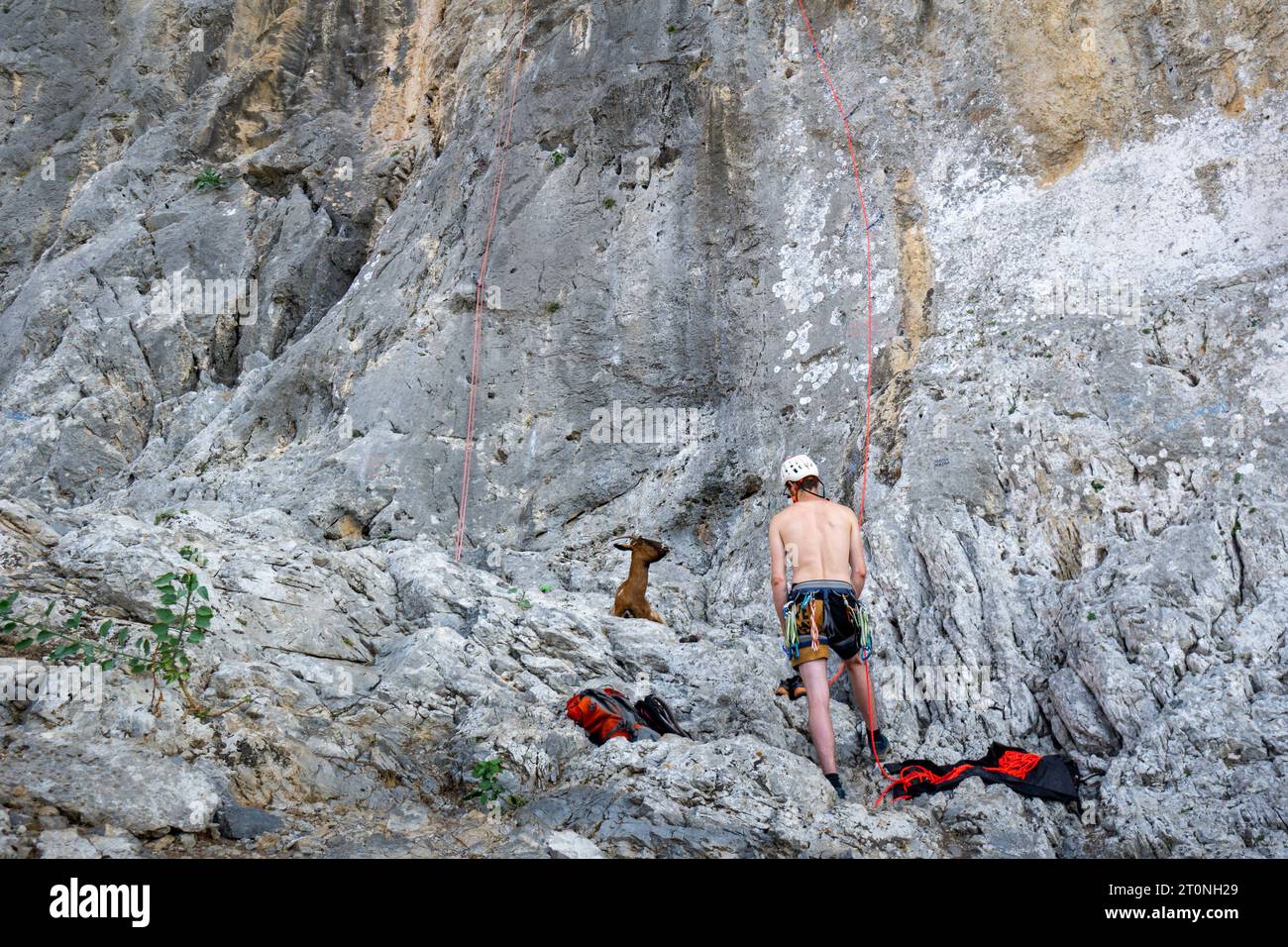Person belaying at sport climbing in Kalymnos Stock Photo - Alamy