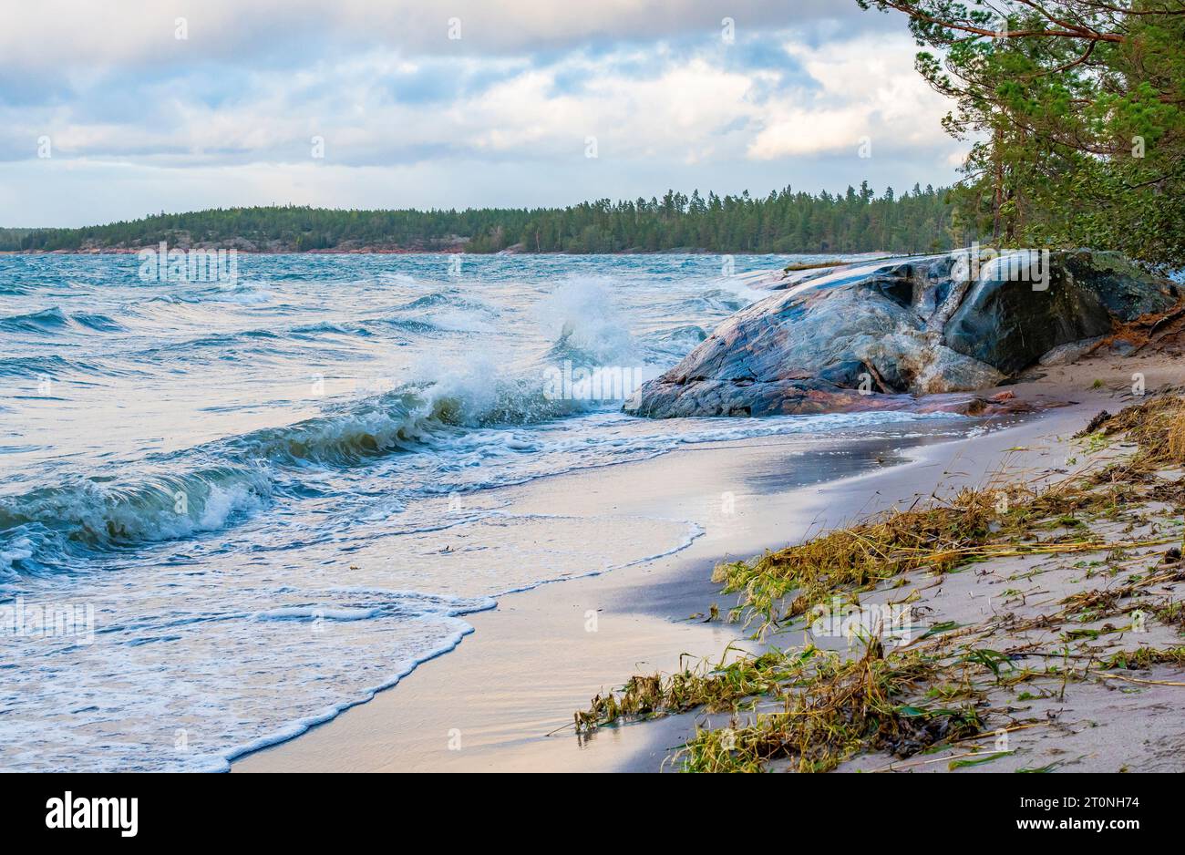 Autumn storm in the archipelago in Finland Stock Photo - Alamy