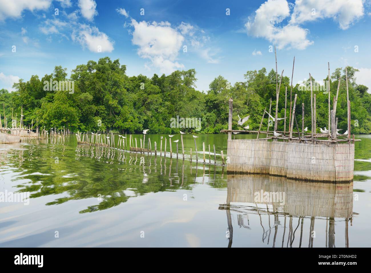 Pond fence hi-res stock photography and images - Alamy