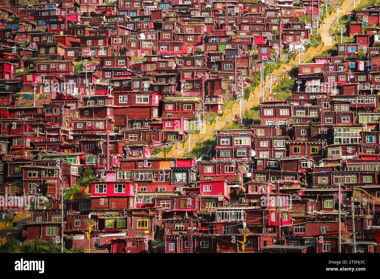 Sertar Buddhism College: "Embracing the vibrant tapestry of Sertar's ...