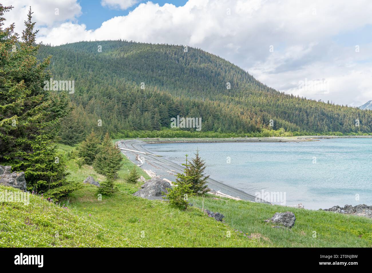 Chilkat Inlet from the Battery Point Trail in the Chilkat State Park ...