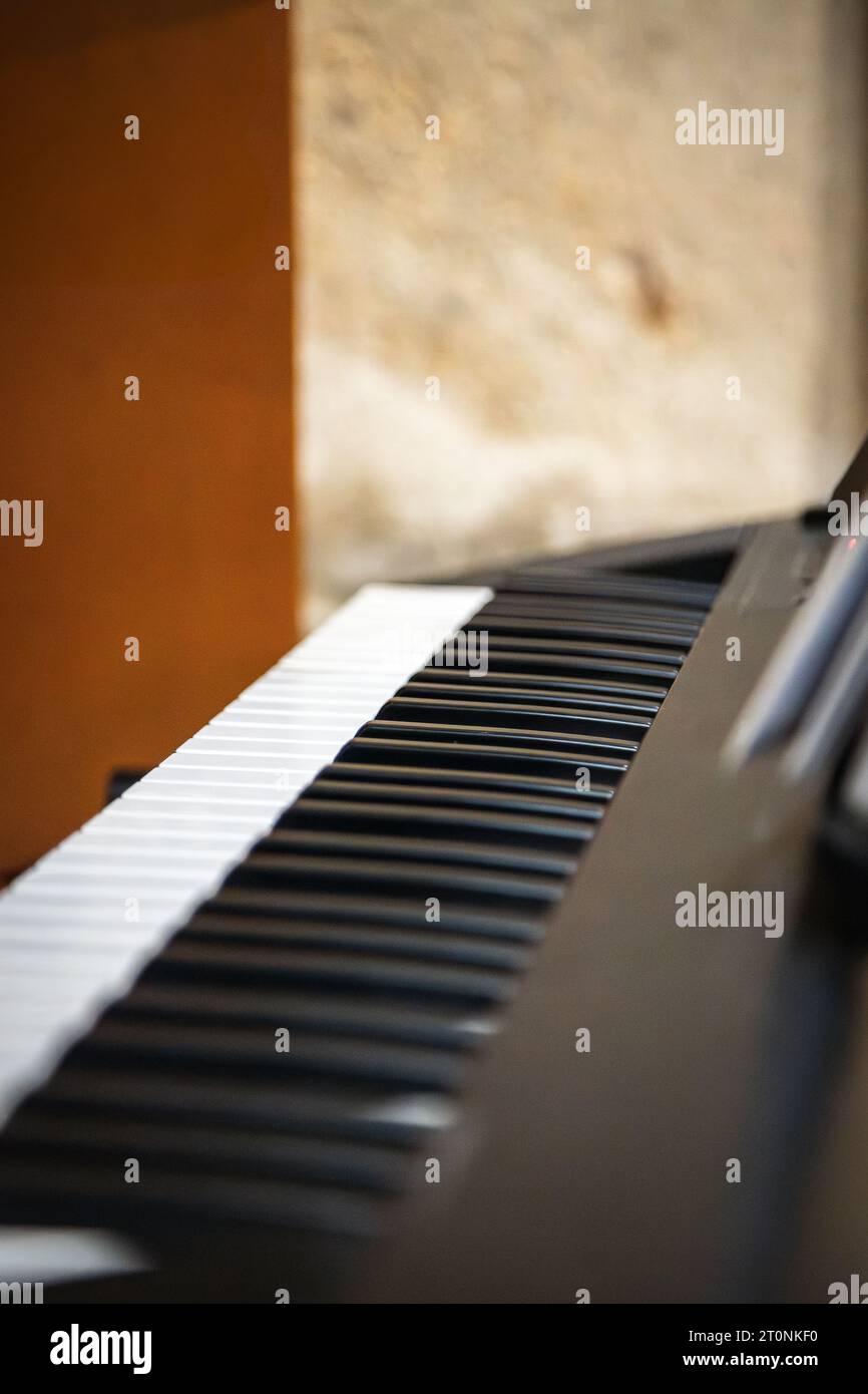 Close up of piano keys. Piano keyboard detail. Vertical background ...