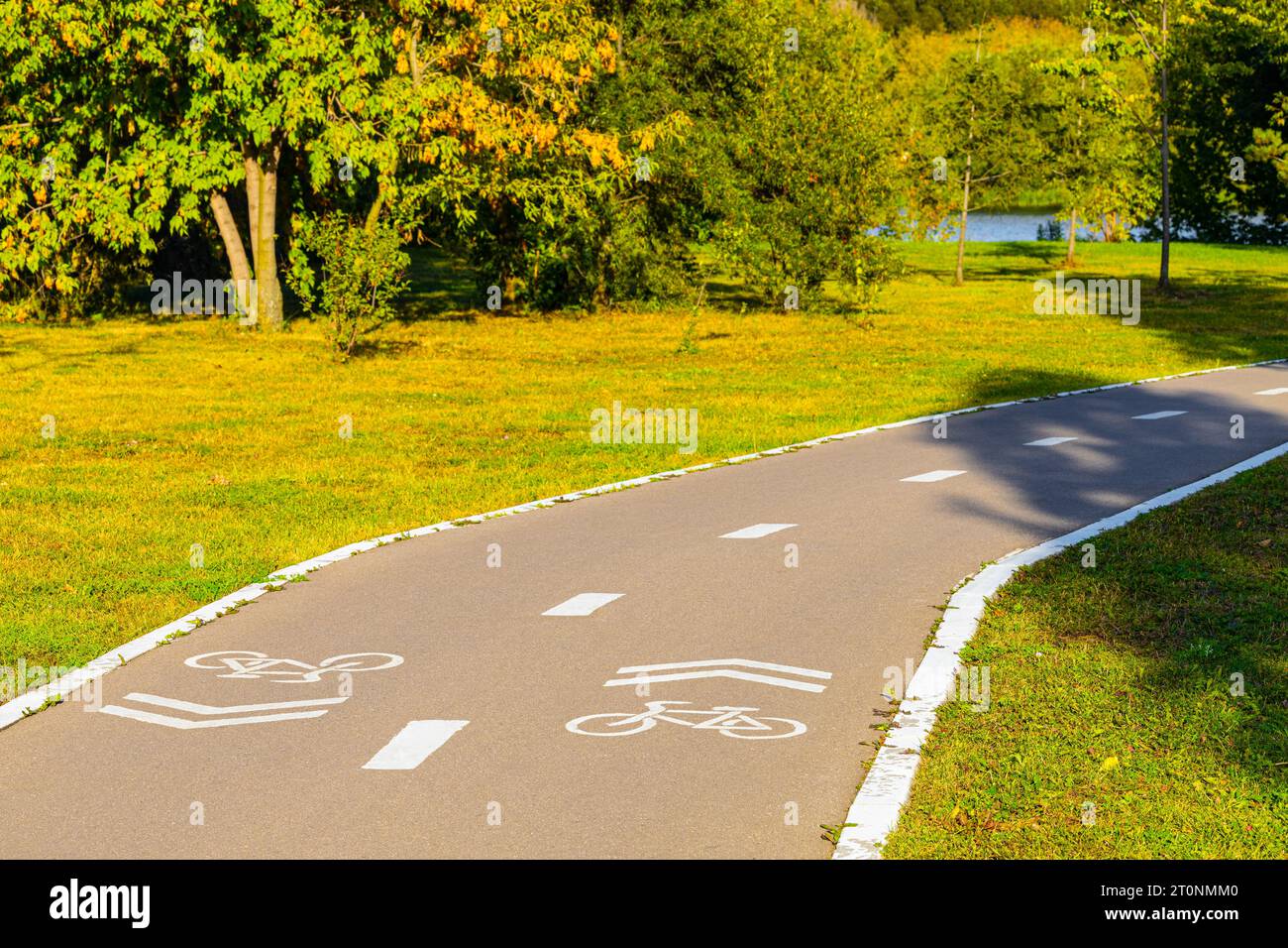 empty bike path with markings in the park. Bike Lane Stock Photo - Alamy