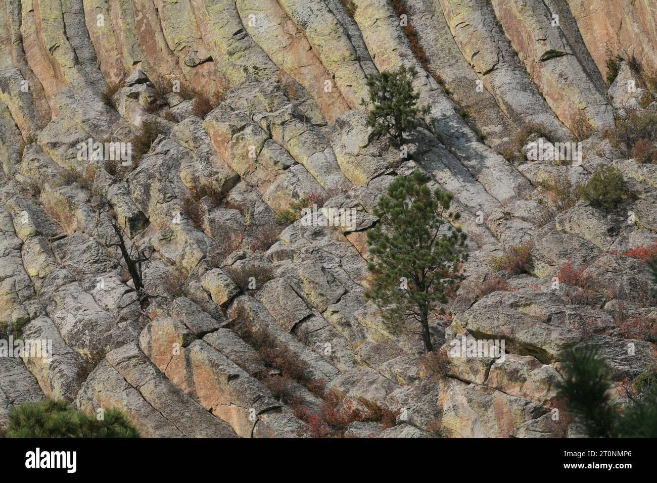 A sacred place to over 20 Native American tribes, Devils Tower was ...