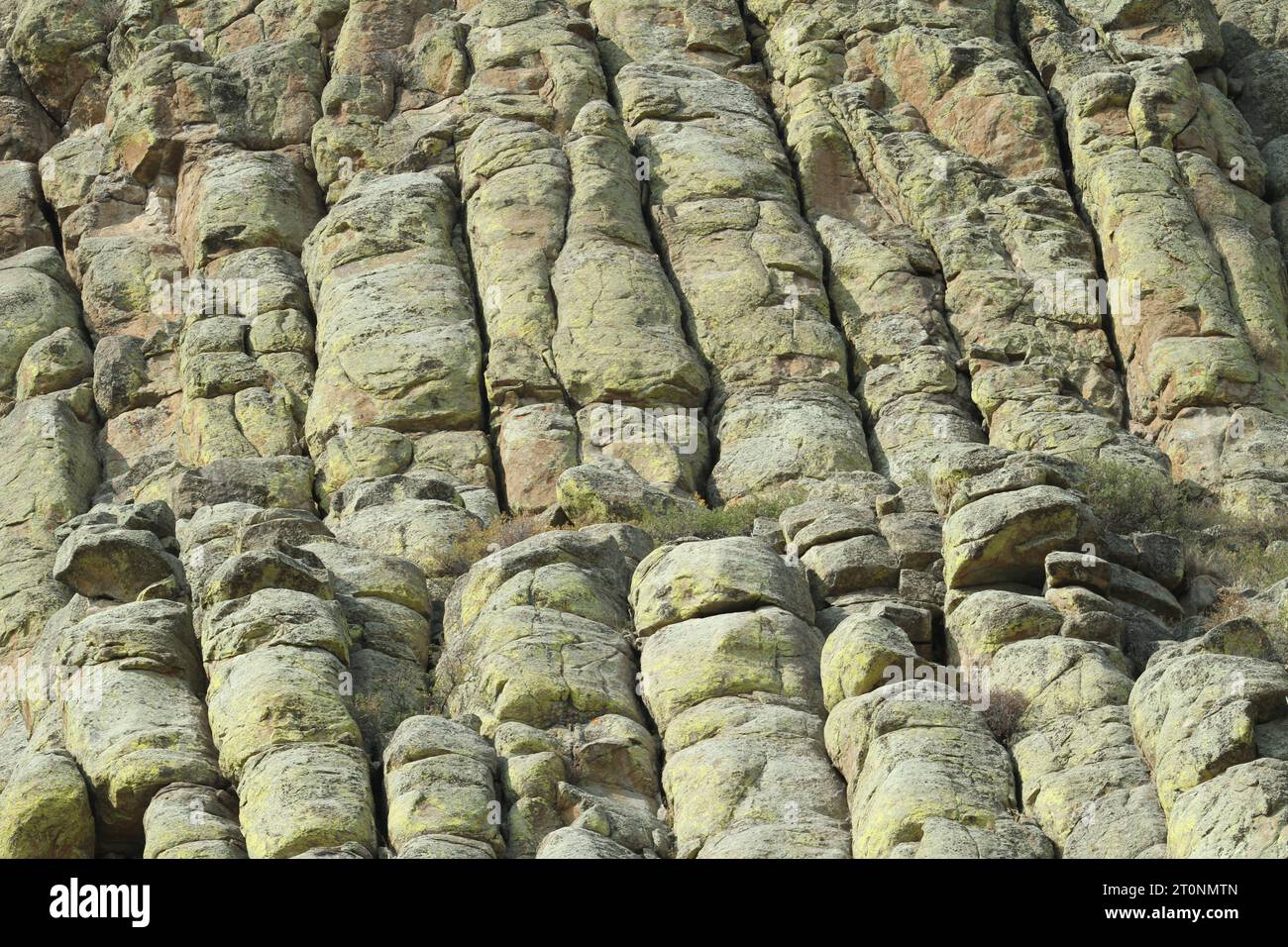 A sacred place to over 20 Native American tribes, Devils Tower was ...