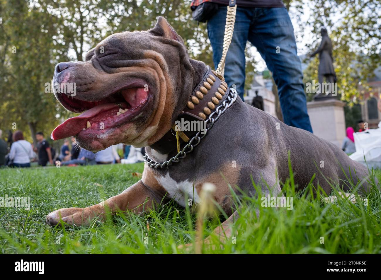 A demonstration is held in Central London calling for the XL Bull breed ...