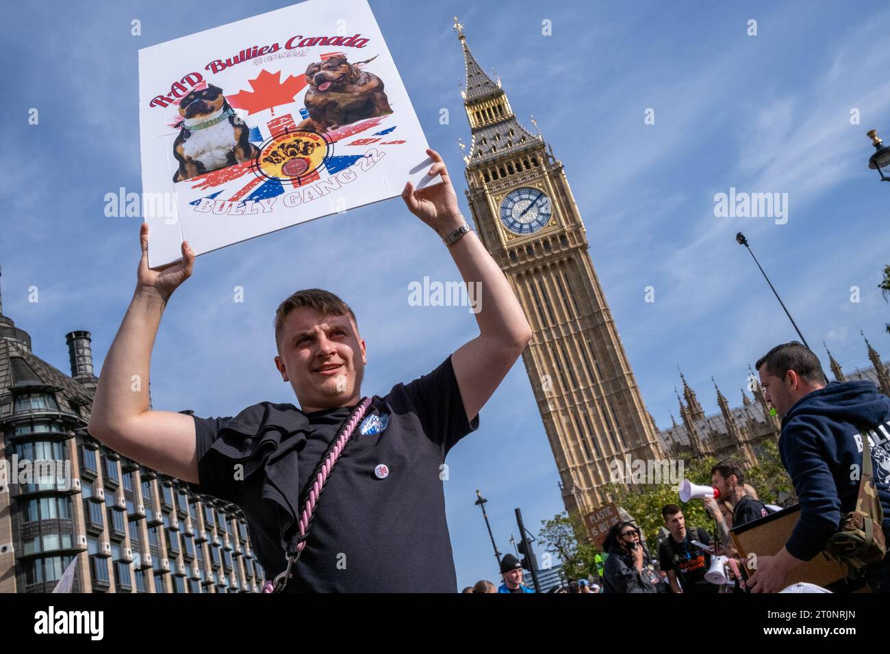 Xl bully breed hi-res stock photography and images - Alamy