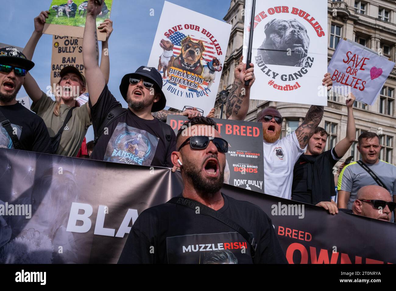 Xl bully dog hi-res stock photography and images - Alamy