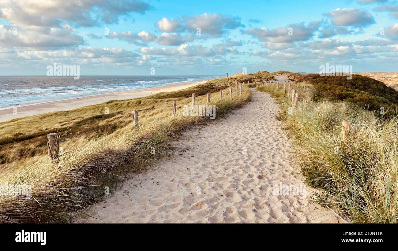 Dunes of Egmond aan Zee (Schoorlse Duinen) on the Dutch North Sea ...