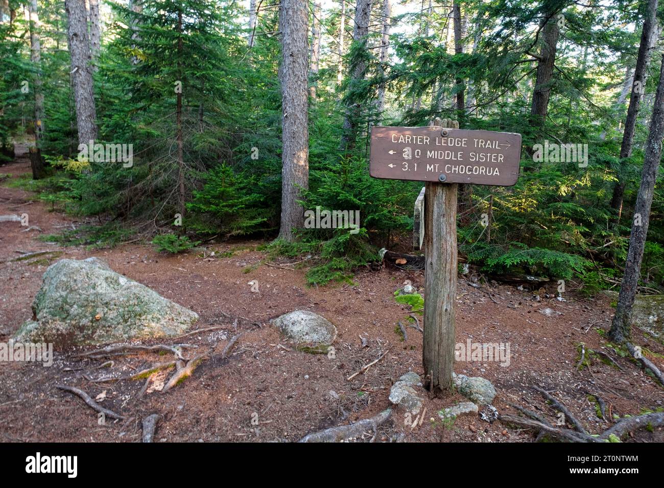 Carter ledge hi-res stock photography and images - Alamy