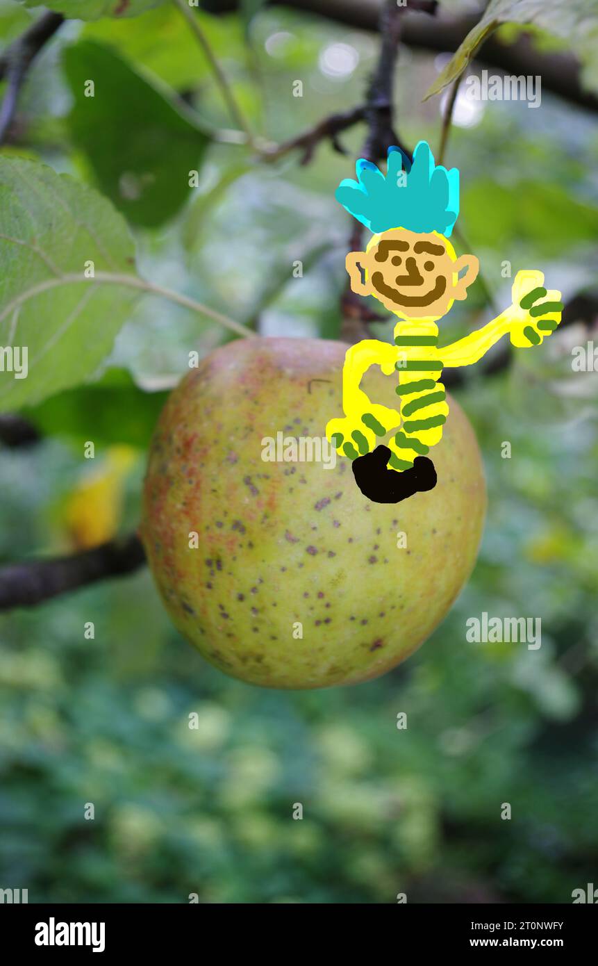 Rotten apple worm hi-res stock photography and images - Alamy