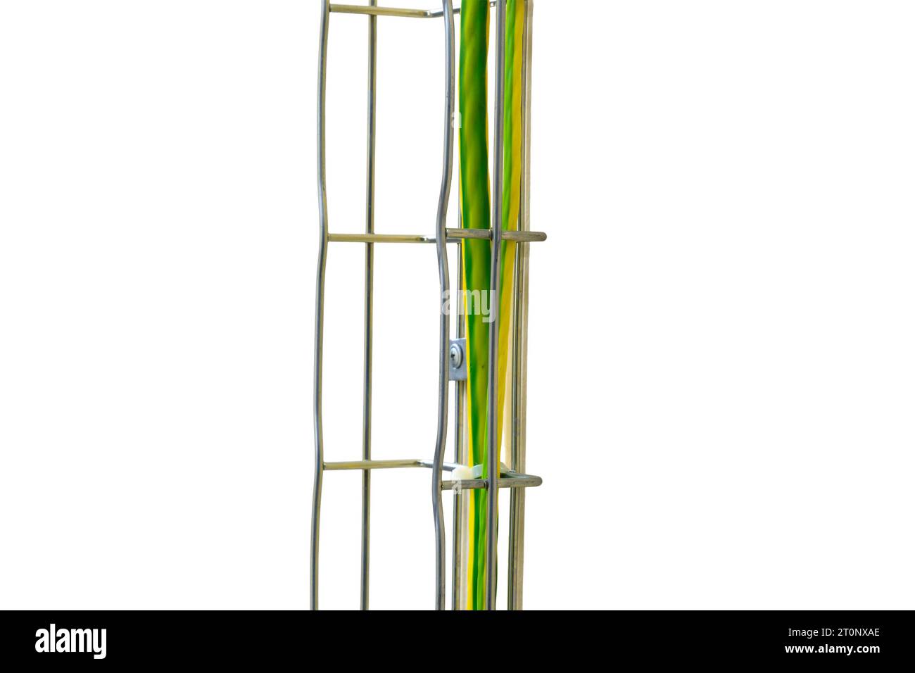 The wall of the server room is lined with cable trays to keep the ...