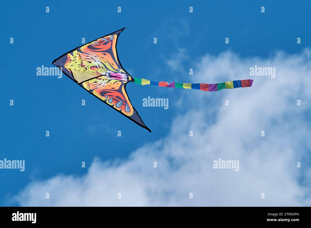 An outdoor kite flying festival. Kites are launched into the blue sky ...