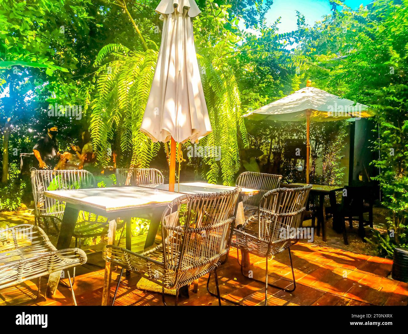 Morning Delight: Garden Table and Chairs with Umbrella in Soft Morning ...