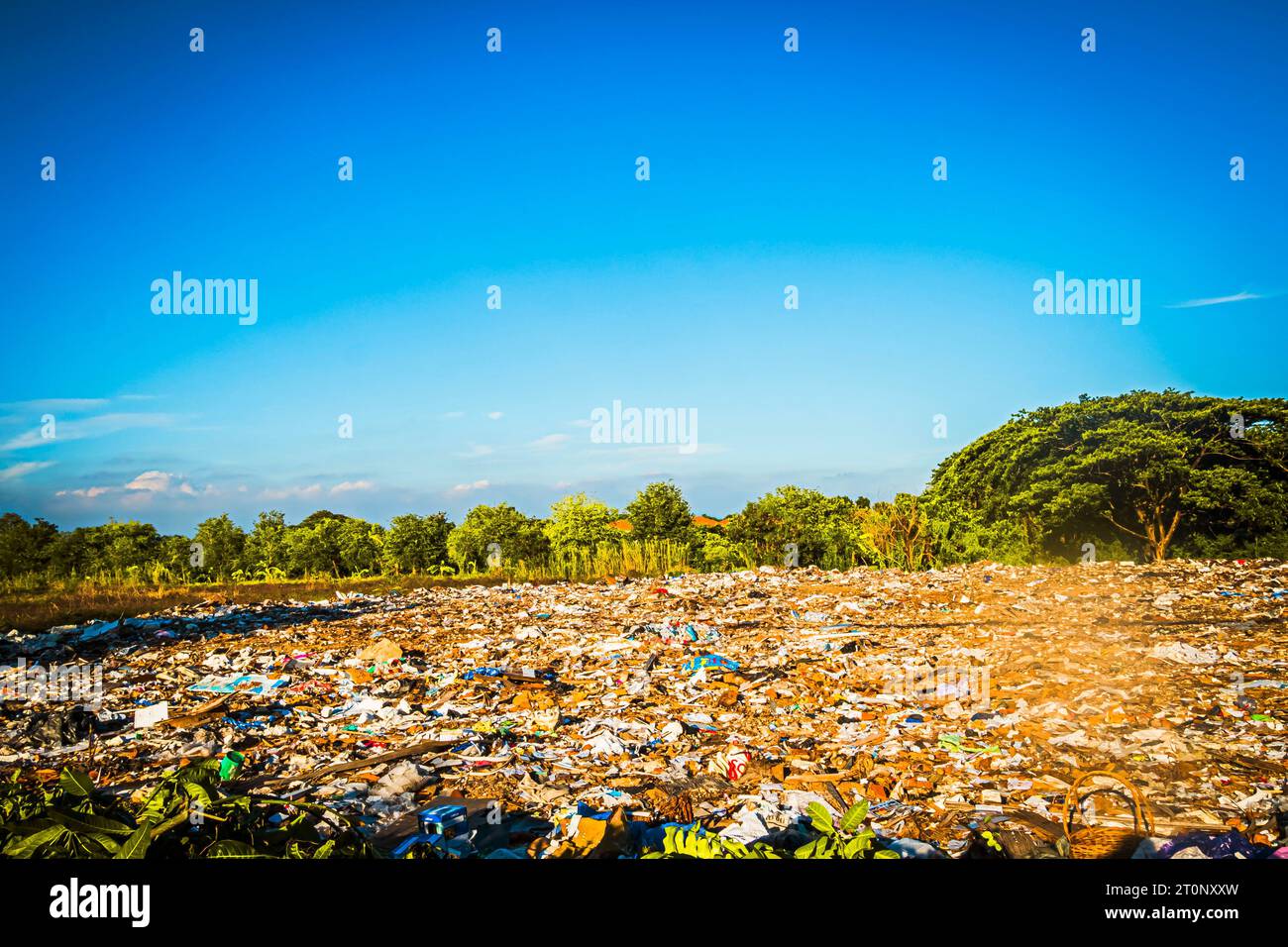 Environmental Crisis: Plastic Waste Overwhelming a Landscape of Trees ...