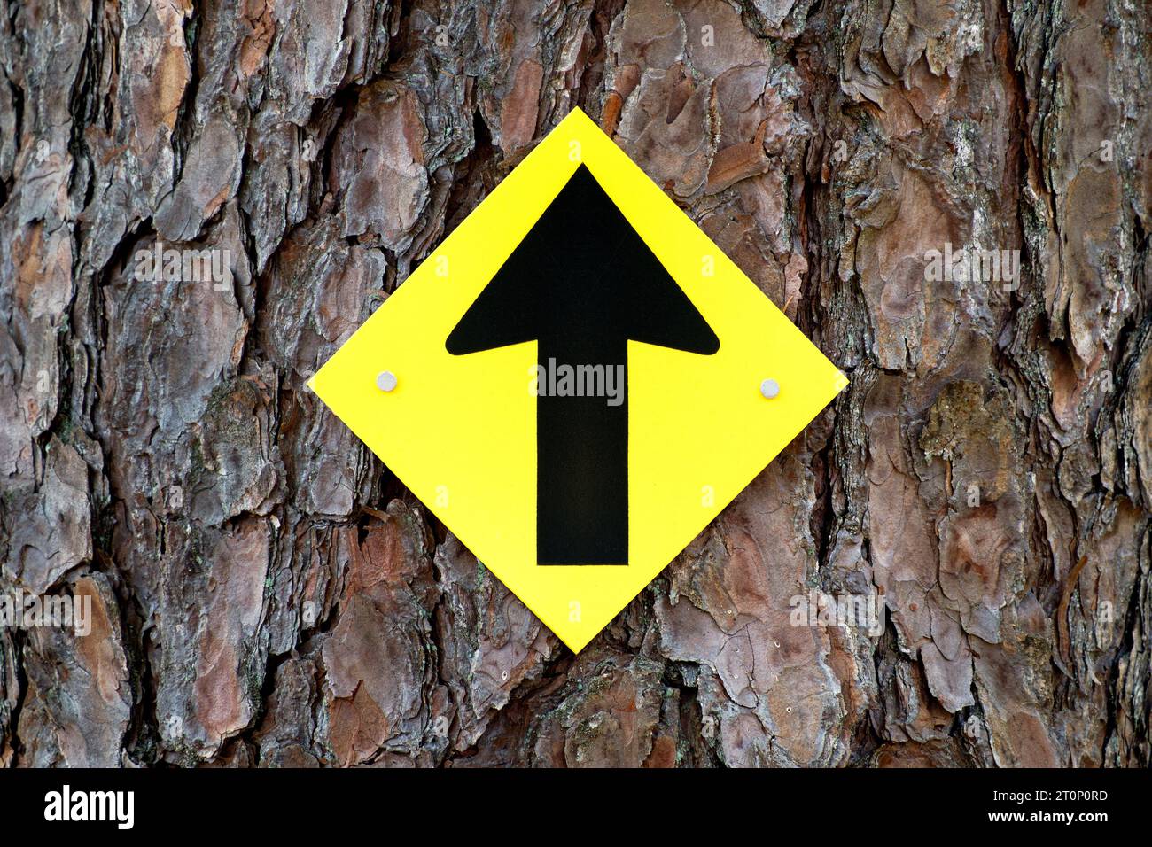 A Trailmarker fastened on a tree marks the way Stock Photo - Alamy