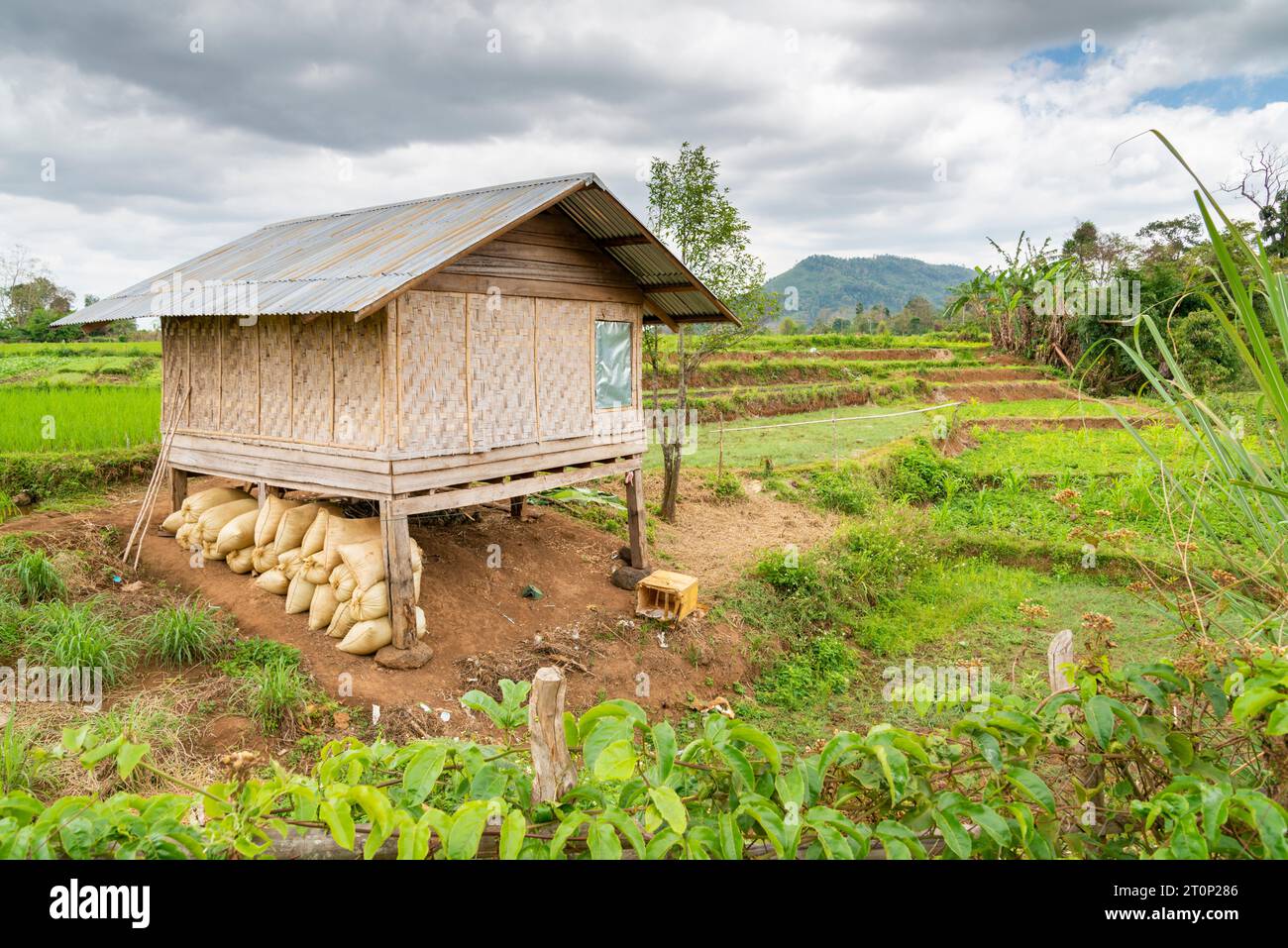 Small wooden shack with corrugated tin roof,rice sacks placed ...