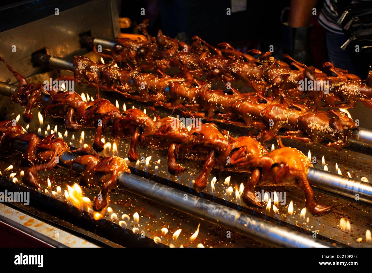 Roasted poultry quail in marinade seasoning or grilled partridge ...