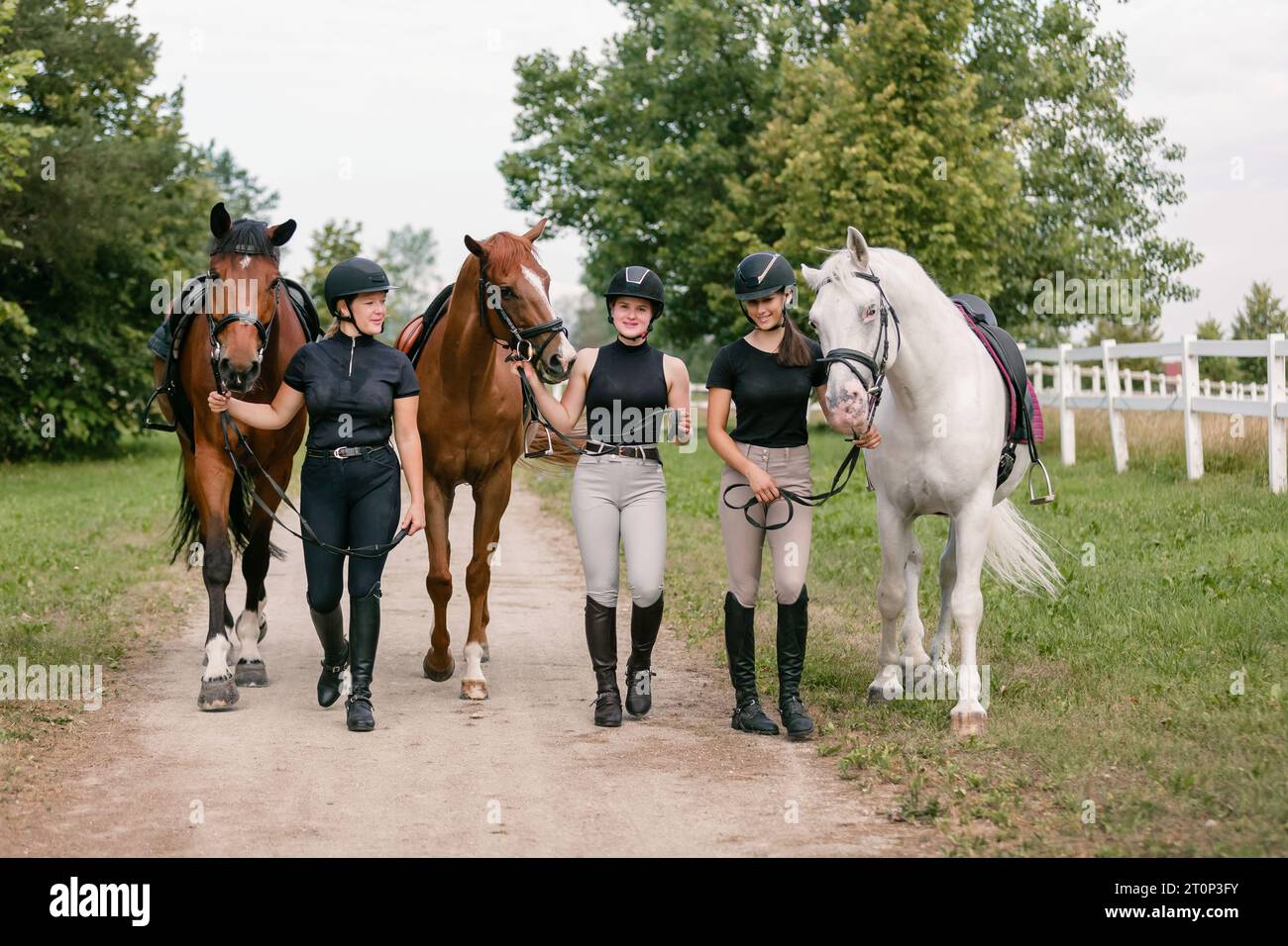 Three beautiful horses with female jockeys, walking side by side along ...