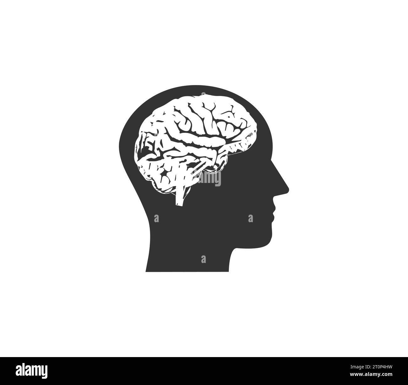 Brain, human head icon. Vector illustration Stock Vector Image & Art ...