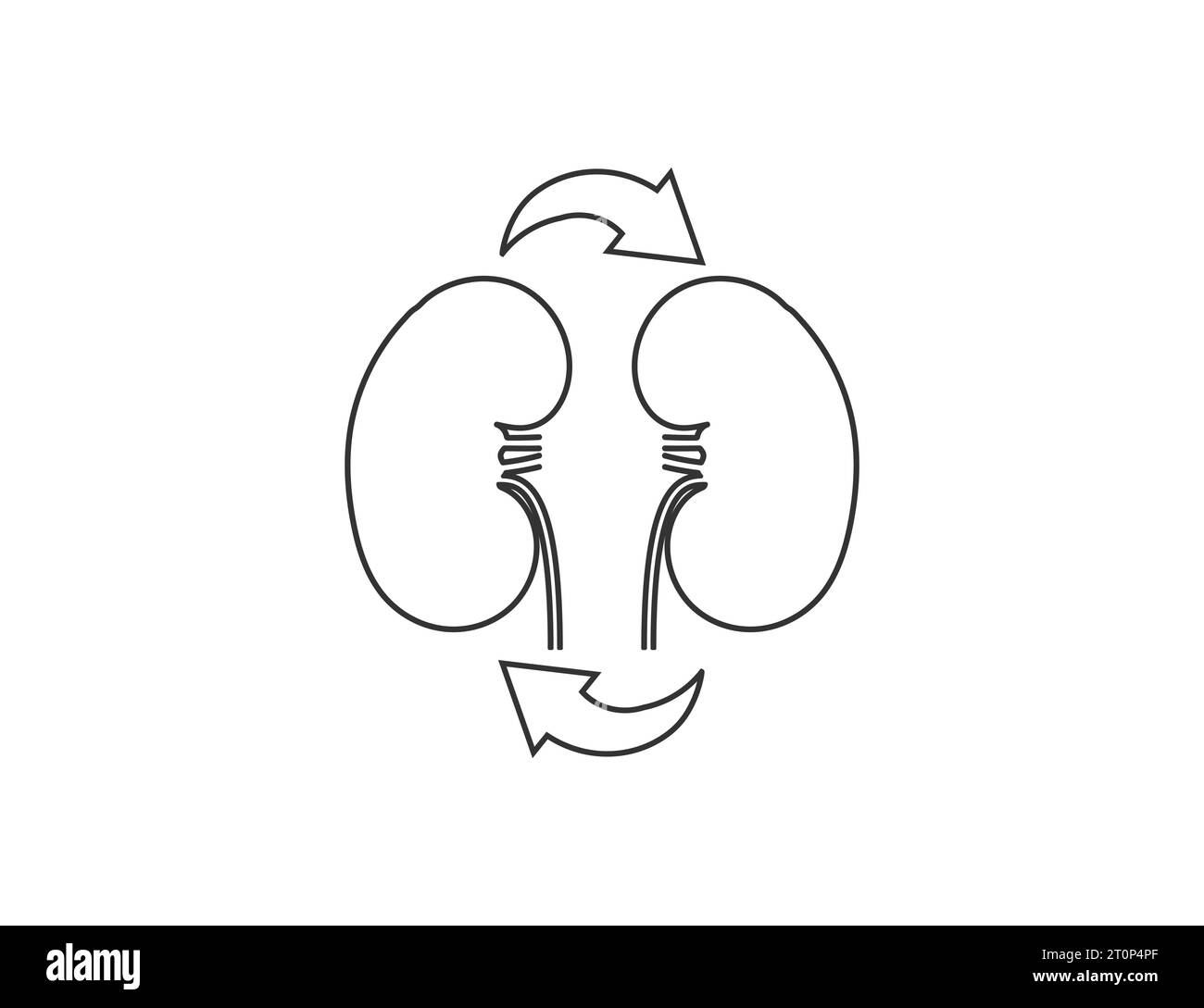 Transplant kidney icon. Vector illustration Stock Vector Image & Art ...