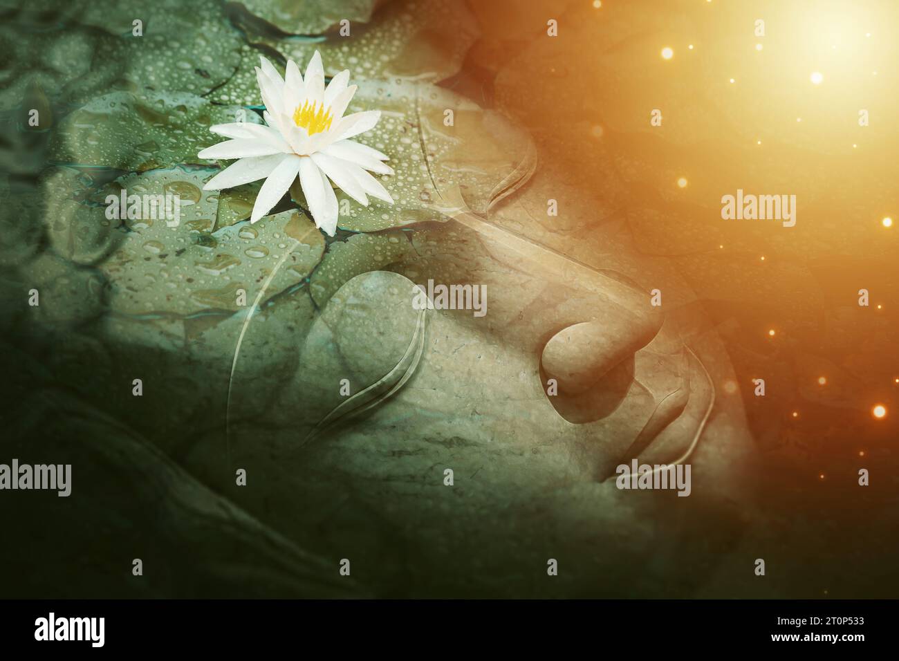 buddha face overlay lotus flower sign of wisdom peaceful and asian ...