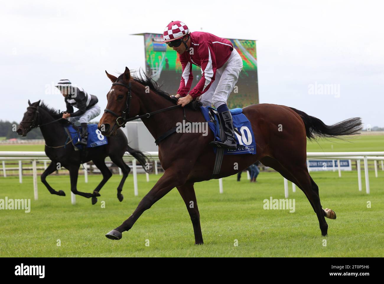 Our Queen Bee with Robbie Colgan up during the Bermingham Cameras Photo ...
