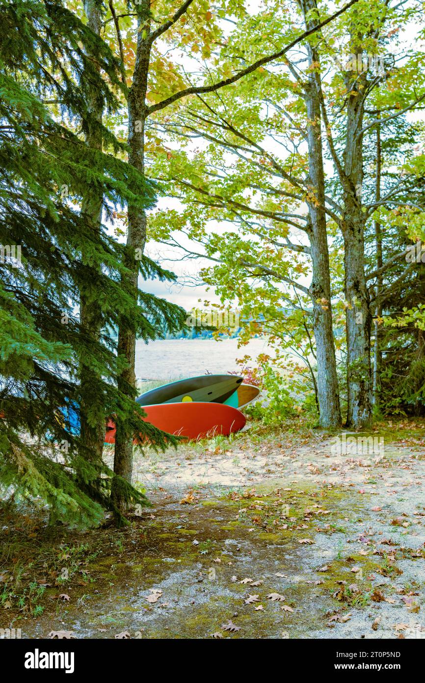 Bring in the paddle boards along shore to store & rest. Fall is ...