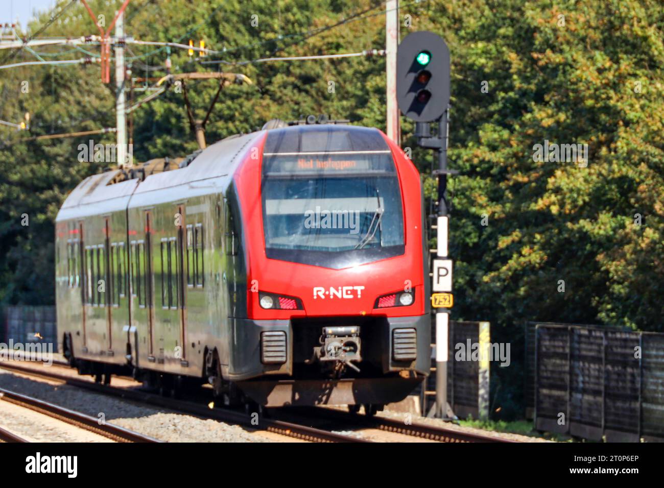 Black and red NS Albellio Flirt train of the R-Net train on the track ...