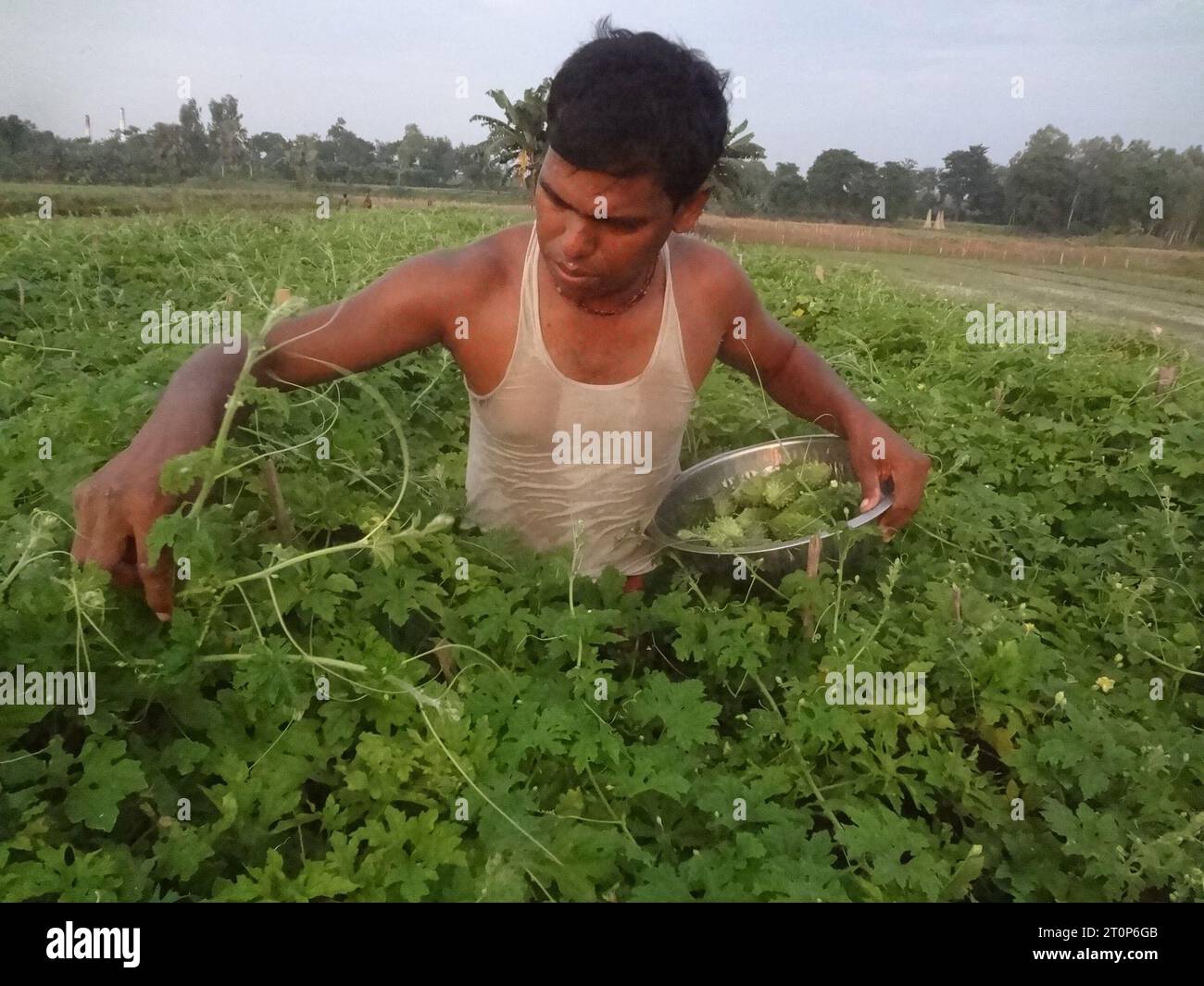 Bangladesh affect hi-res stock photography and images - Alamy