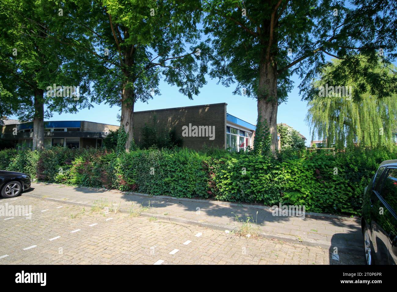 Holland elementary history hi-res stock photography and images - Alamy