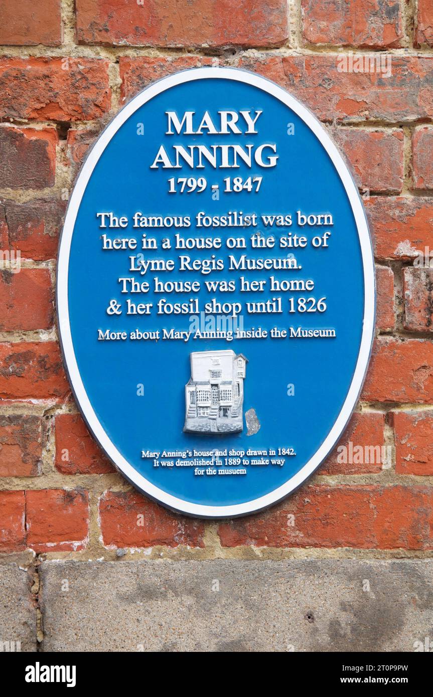 Mary anning birthplace hi-res stock photography and images - Alamy