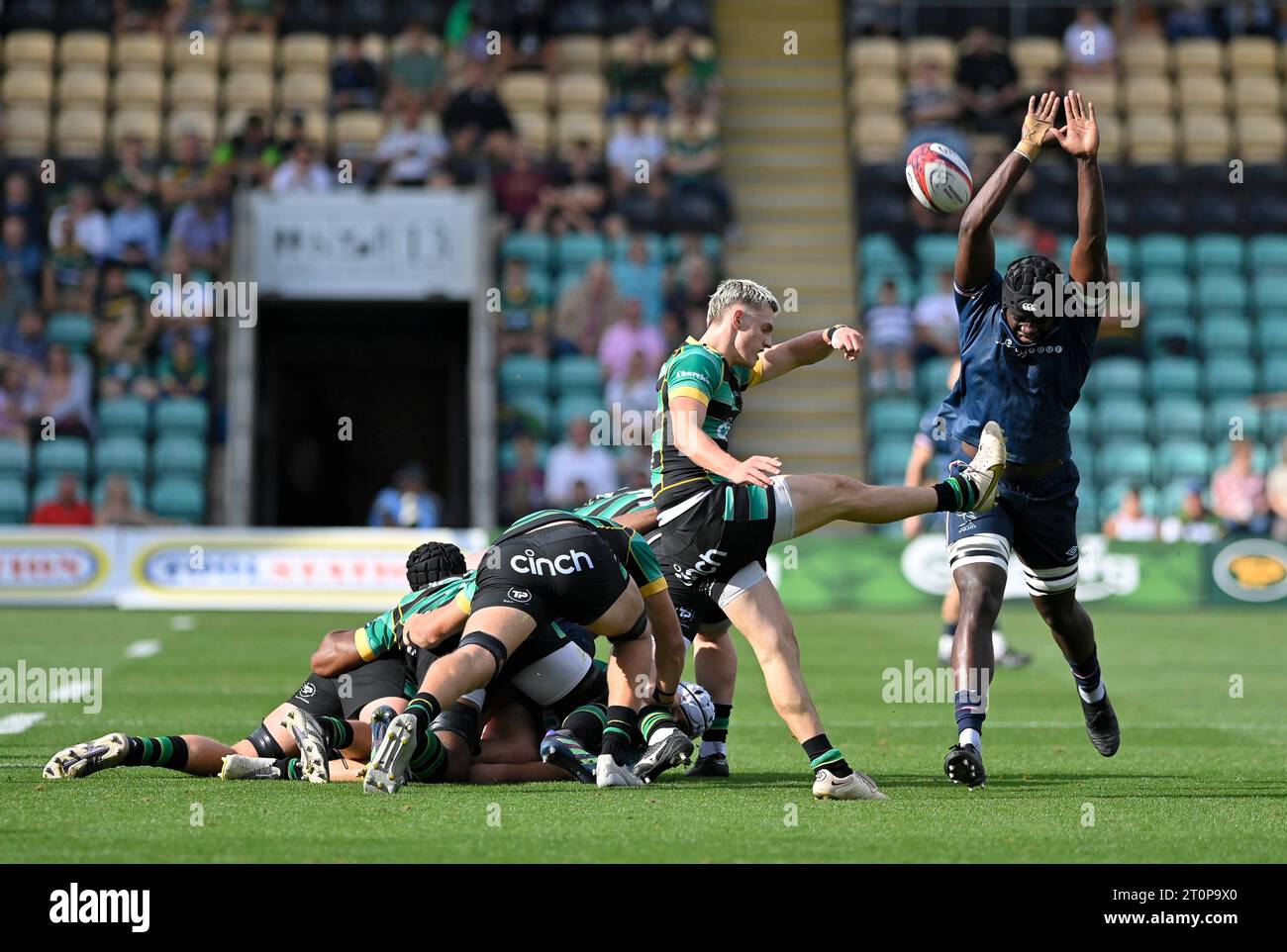 Northampton ENGLAND - OCT 8 2023 : Archie McParland of Northampton ...
