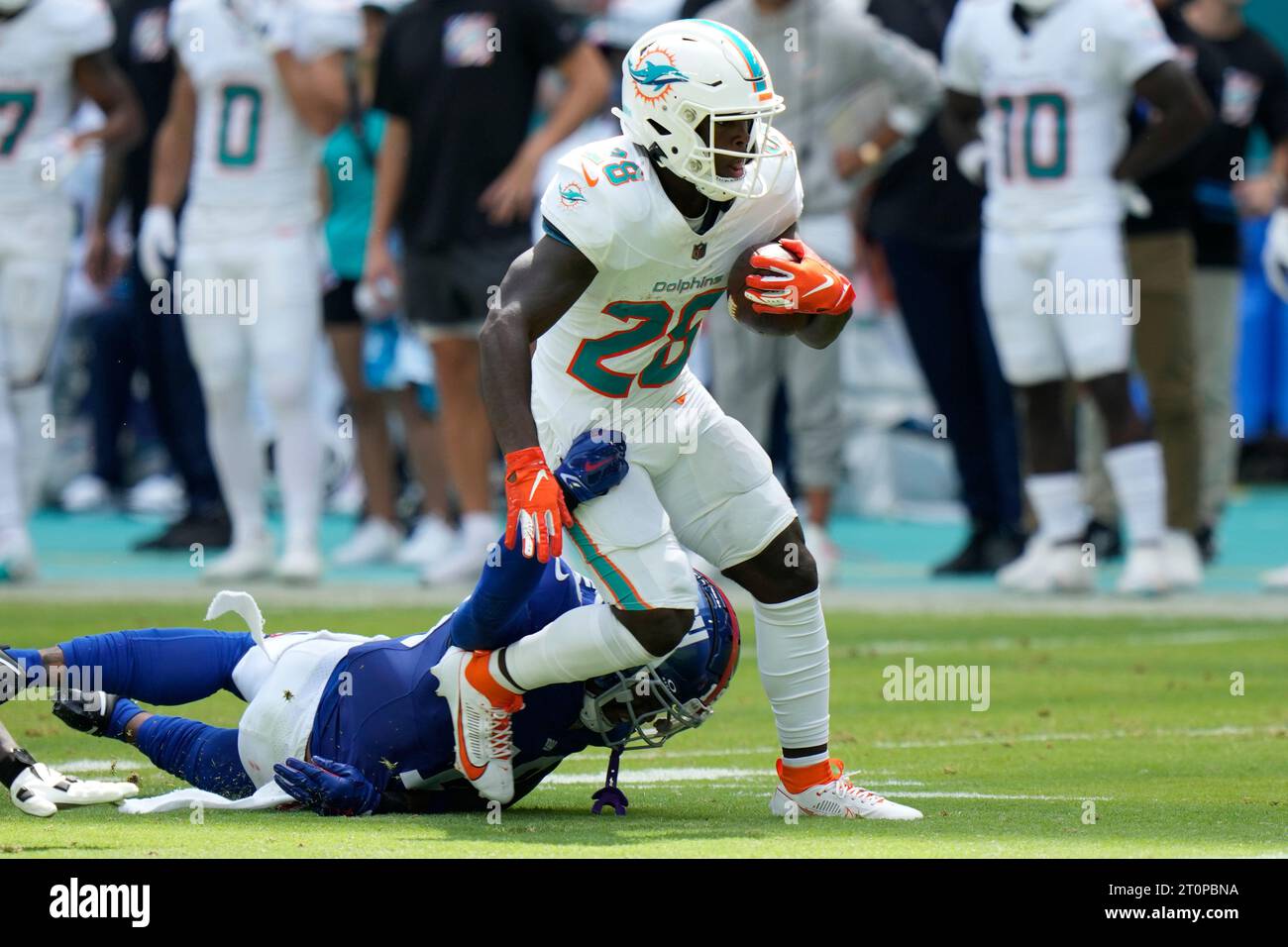 New York Giants safety Isaiah Simmons (19) grabs Miami Dolphins running ...