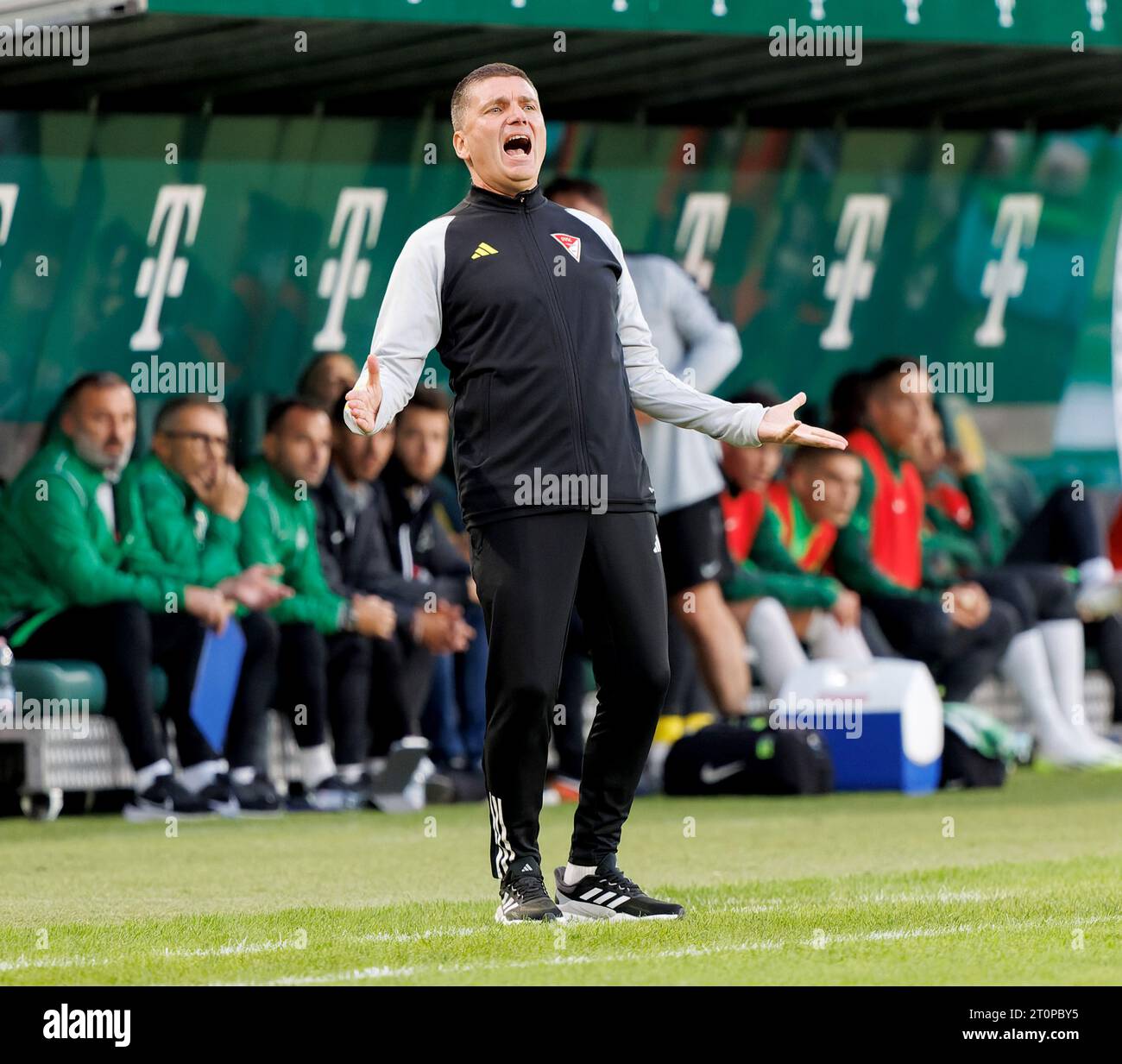 Budapest, Hungary. 8st October, 2023. Srdan Blagojevic, Head coach of ...