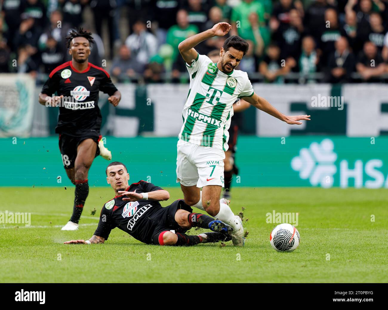 Brandon domingues hi-res stock photography and images - Alamy