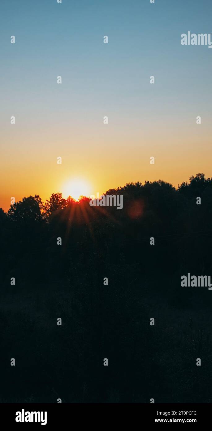 Forest sunset background countryside landscape sky Stock Photo - Alamy