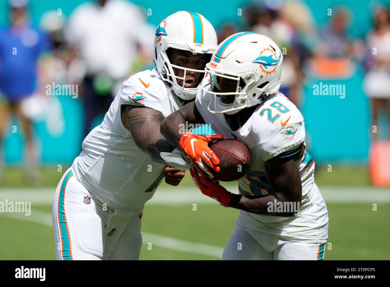 Miami Dolphins quarterback Tua Tagovailoa (1) hands the ball to running ...