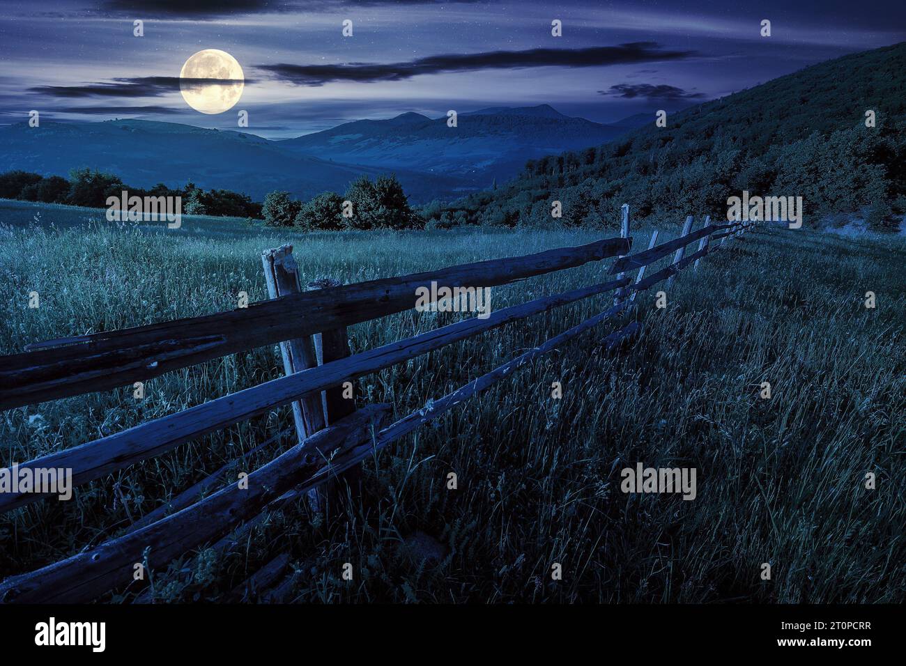 rural landscape at night. fence near the meadow and trees on the ...