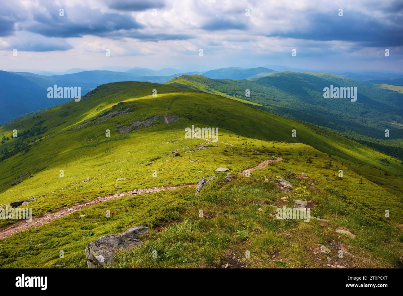 nature landscape in mountains. carpathian watershed ridge in summer ...