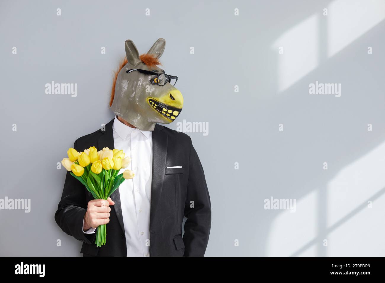 Human and donkey head hi-res stock photography and images - Alamy