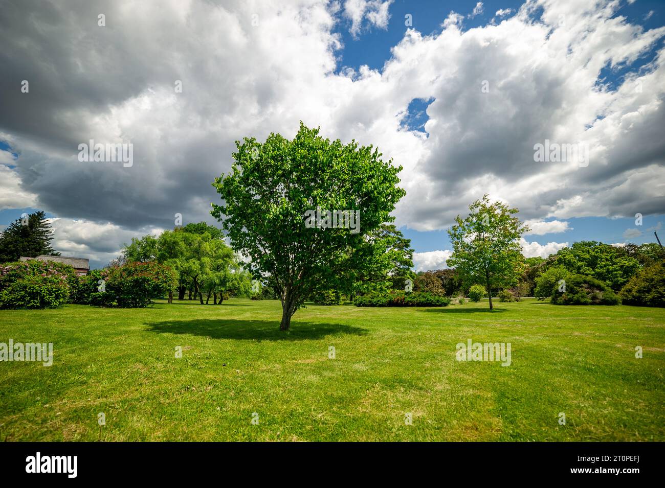 Farm dispersal hi-res stock photography and images - Alamy