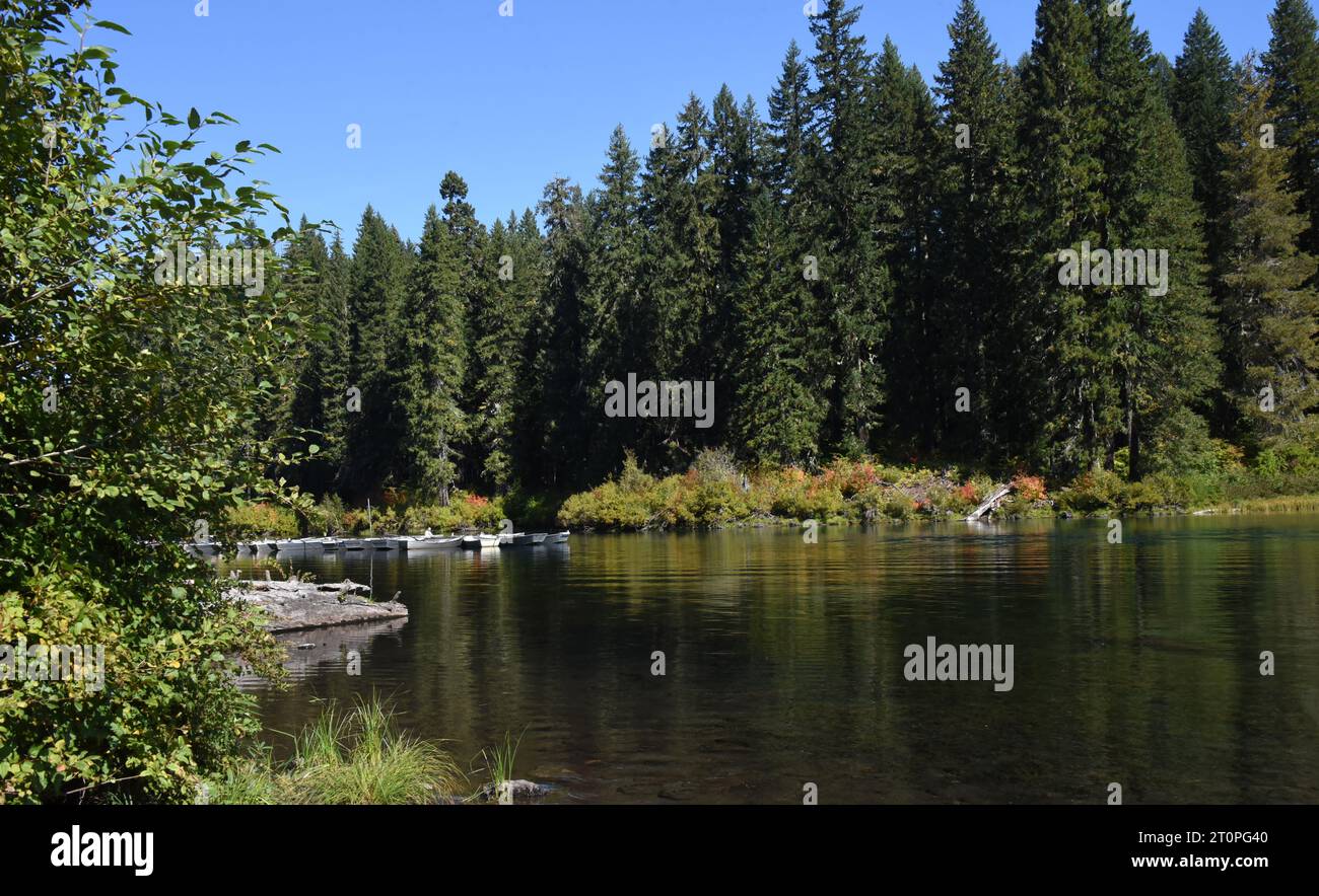 Cluster of Jon boats float on Clear Lake, in Oregon, ready for ...