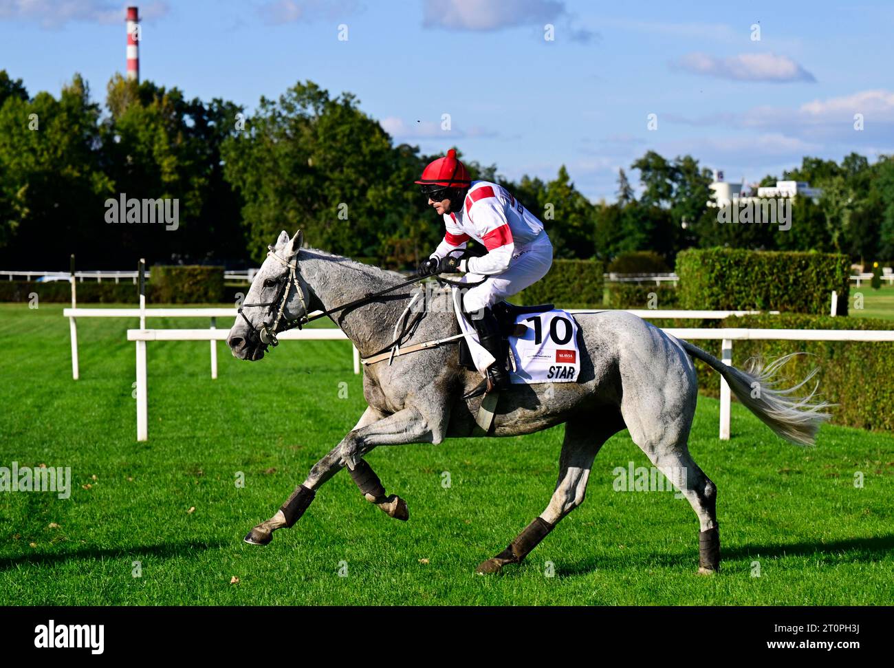 Pardubice, Czech Republic. 08th Oct, 2023. Jockey Marek Stromsky with ...