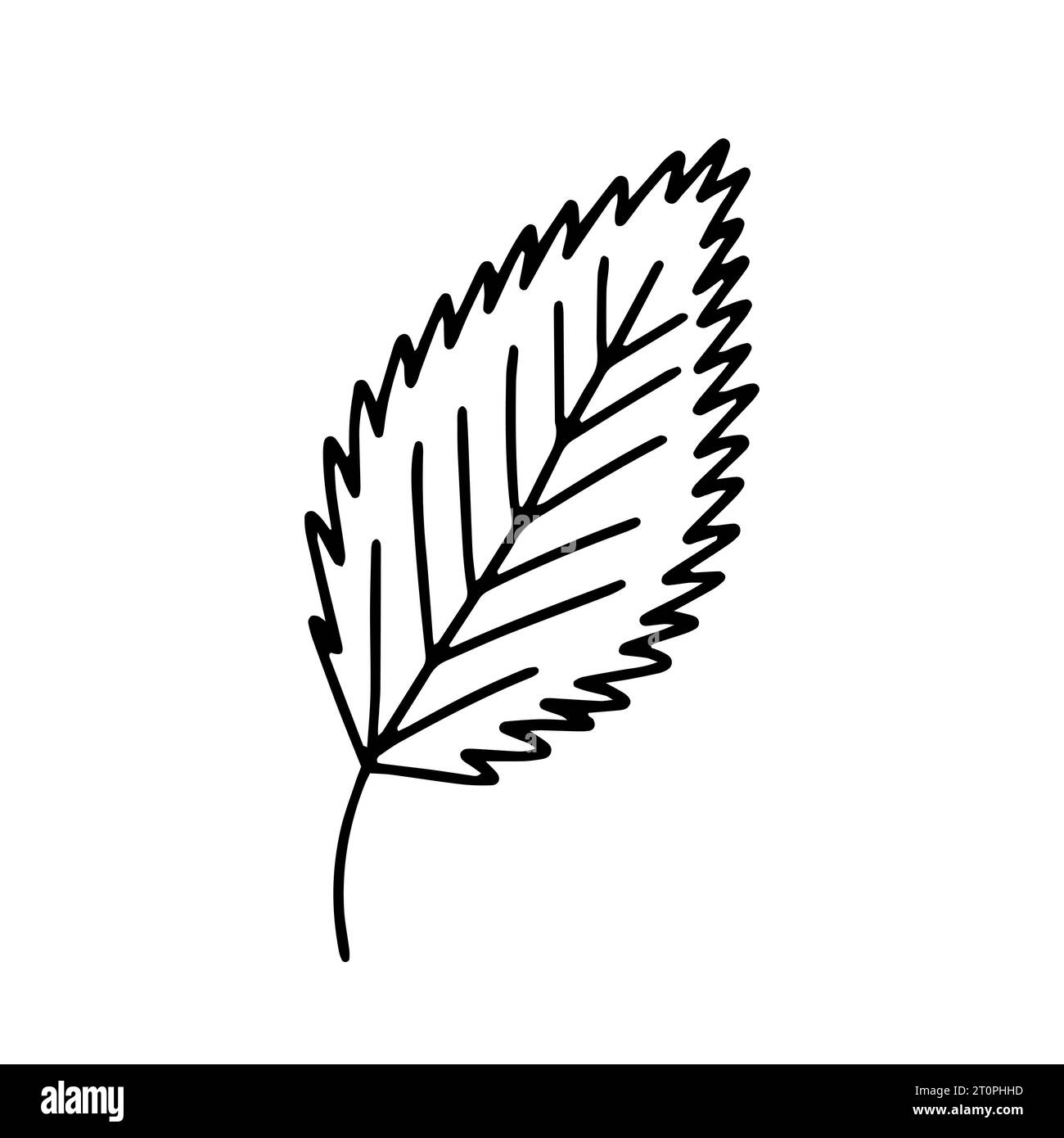 doodle leaf sketch Stock Vector Image & Art - Alamy